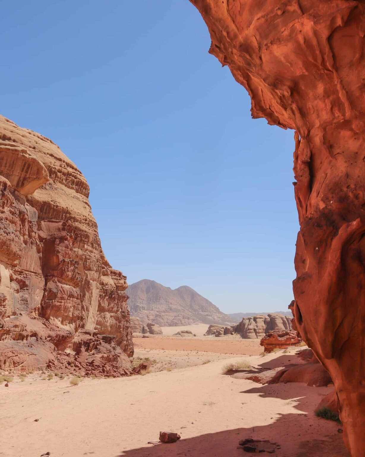 Wadi Rum: come organizzare il tuo tour nel deserto - Vabbè io vado!